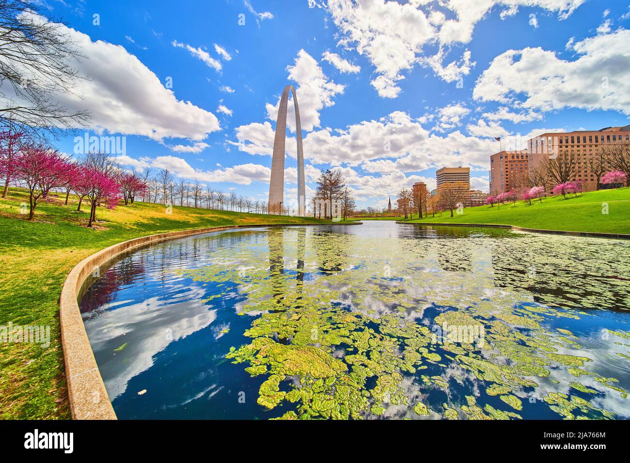 Early spring vibrant view of St. Louis Gateway Arch from pond covered ...
