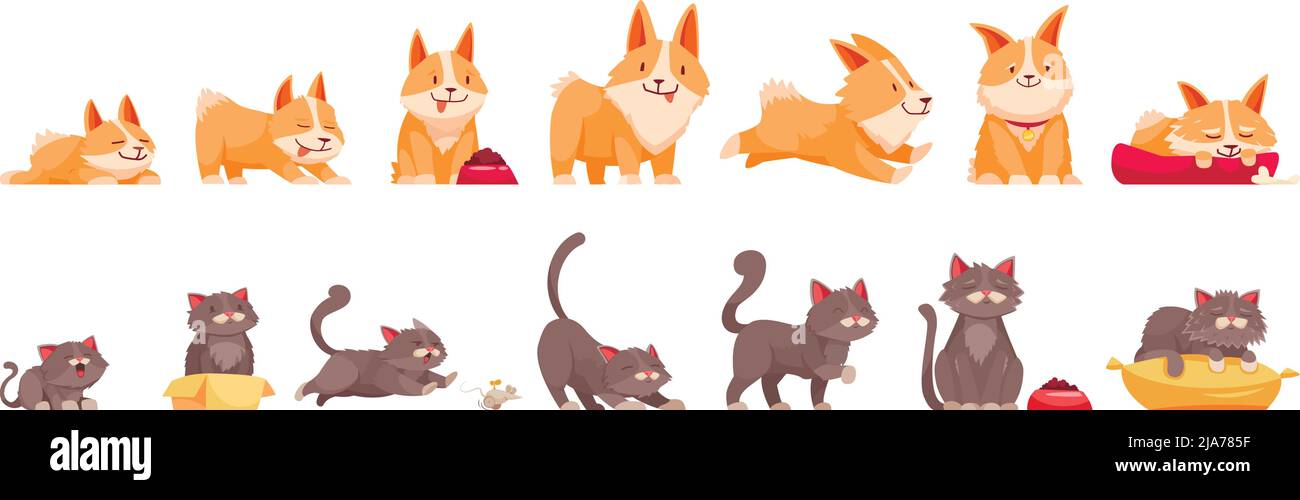 Pets growth stages set of isolated icons cartoon characters of cat and ...