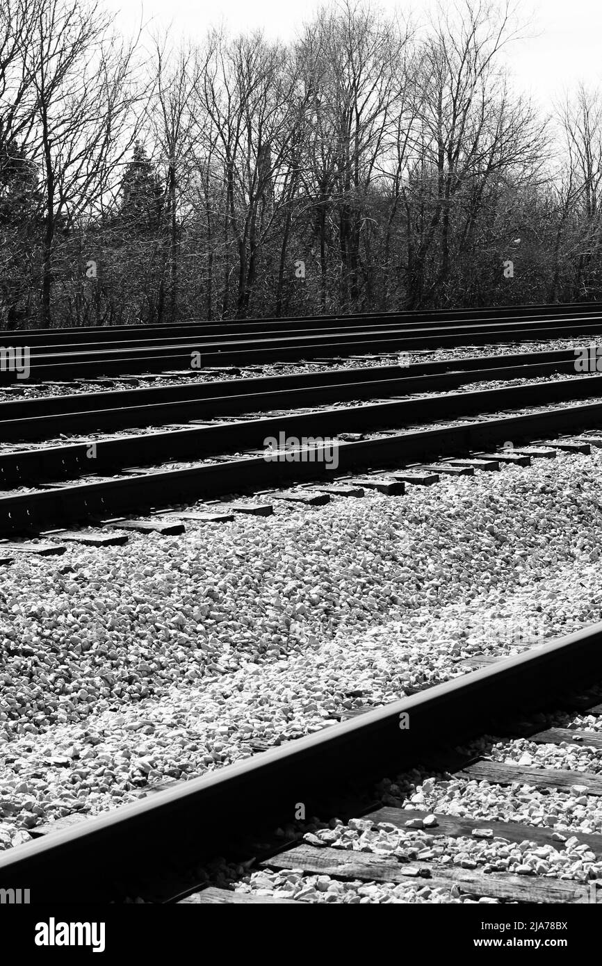 Typical common railroad tracks crossing the plains on a bright sunny ...