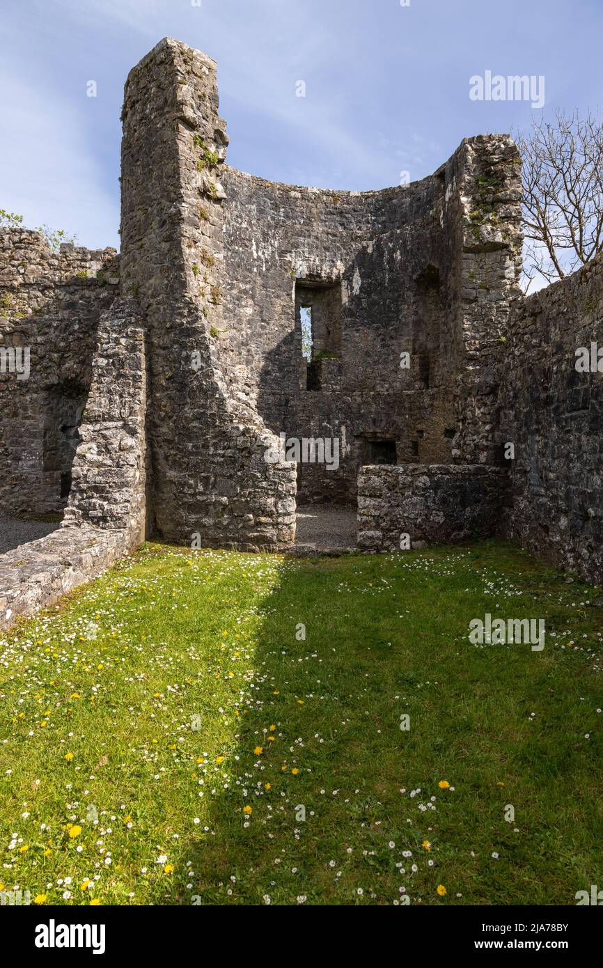 Athenry Castle, County Galway, Ireland Stock Photo - Alamy