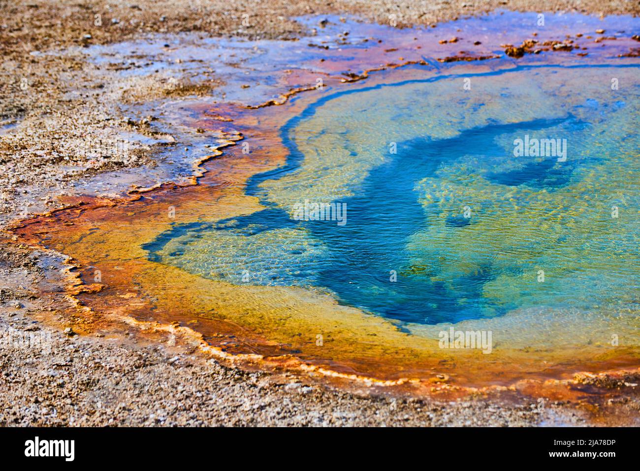 Beautiful spring in Yellowstone with variety of colors Stock Photo - Alamy