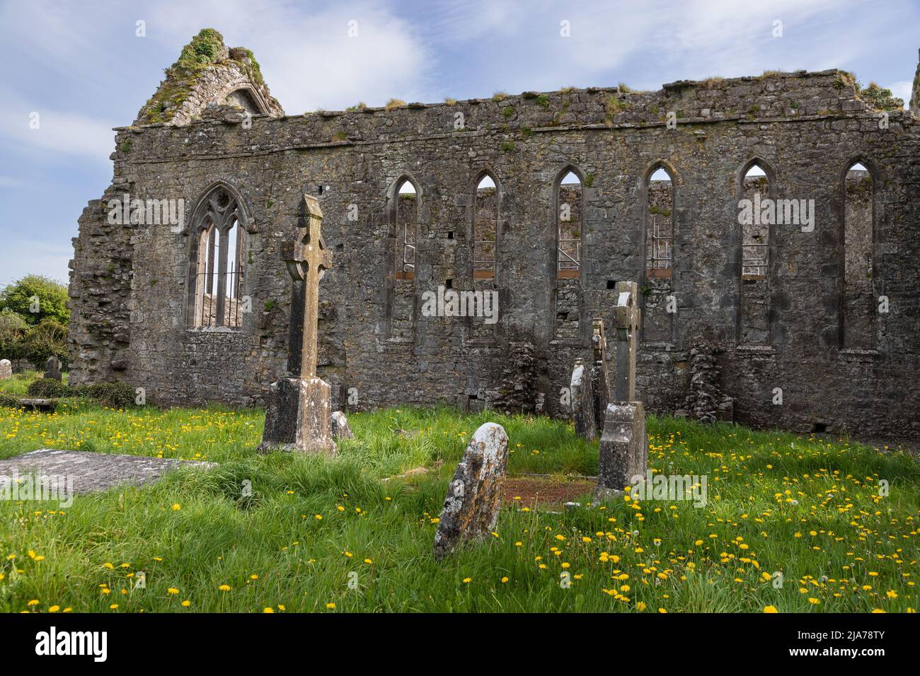 Athenry Abbey, County Galway, Ireland Stock Photo - Alamy