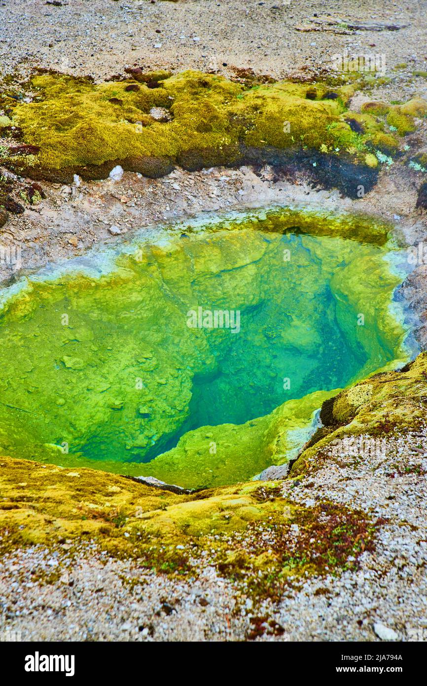 Basin with small green alkaline water geyser Stock Photo - Alamy