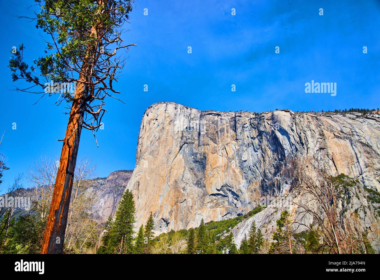 Colorful El Capitan at Yosemite in full light Stock Photo - Alamy