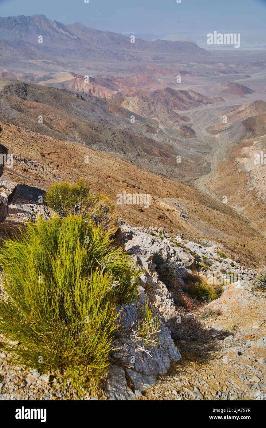 Desert plants and rocks with desert mountains and plains in distance ...