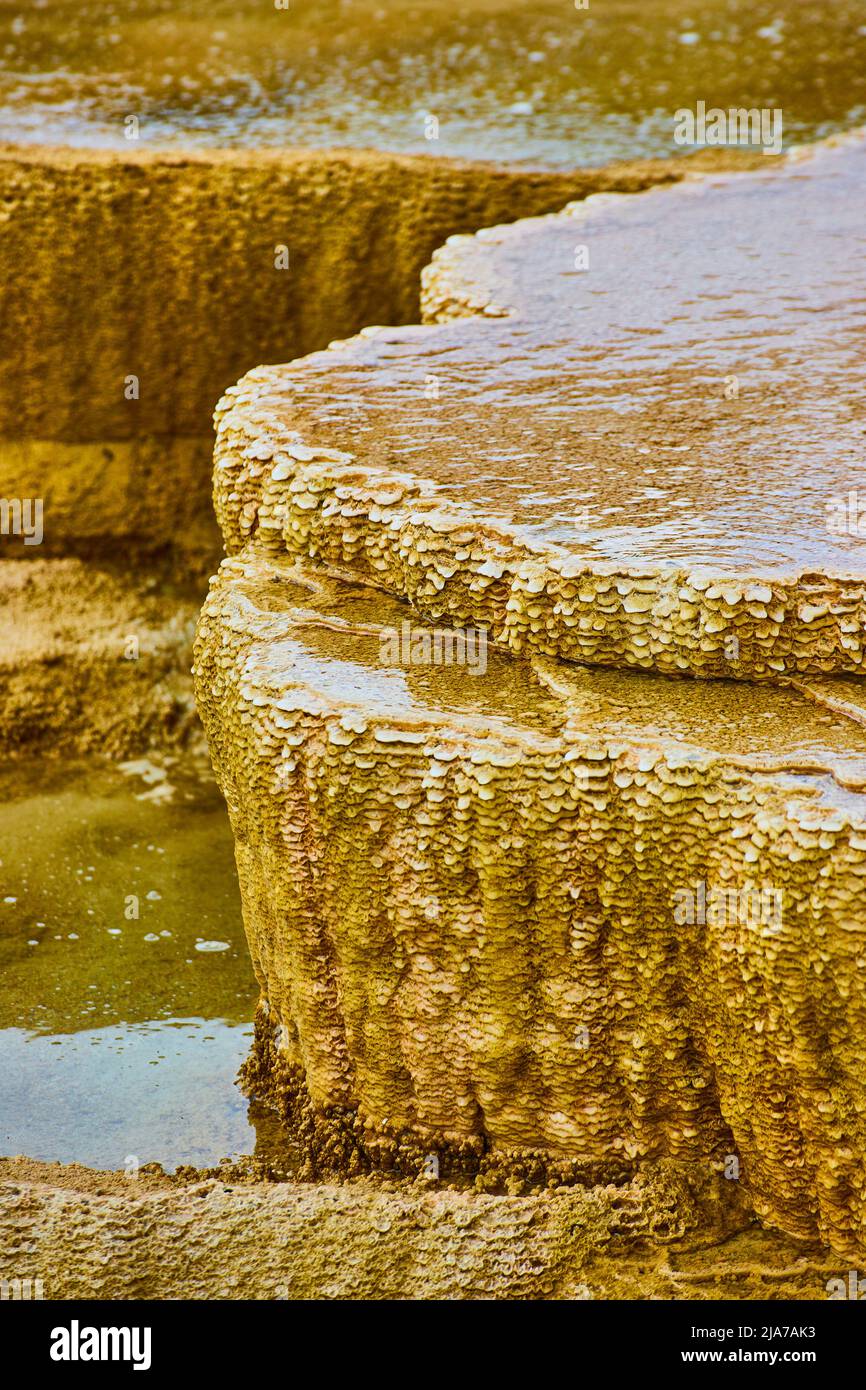 Detail of terrace in Yellowstone hot springs Stock Photo - Alamy