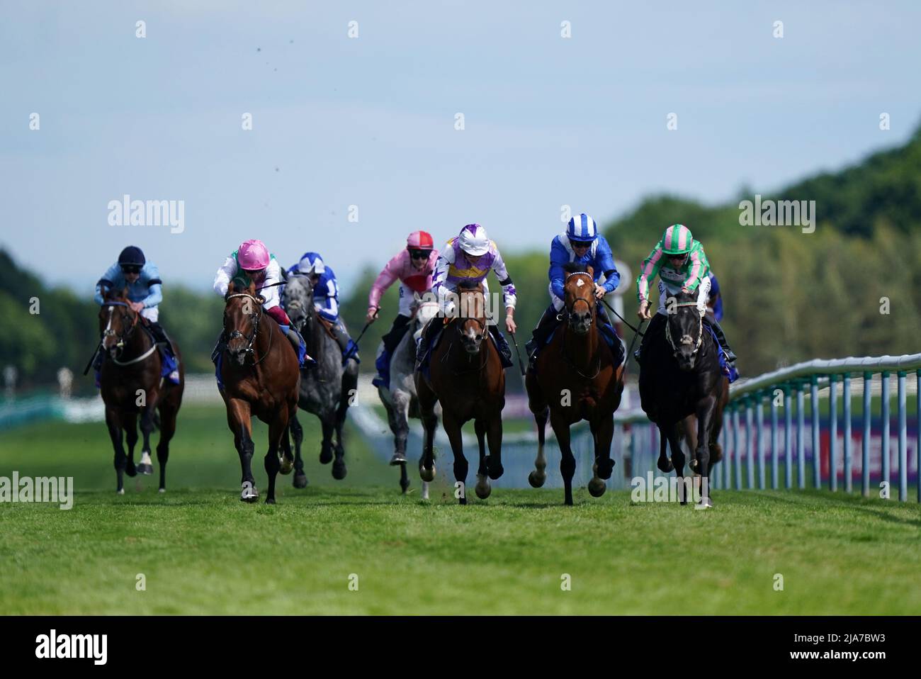 Pogo horse hi-res stock photography and images - Alamy