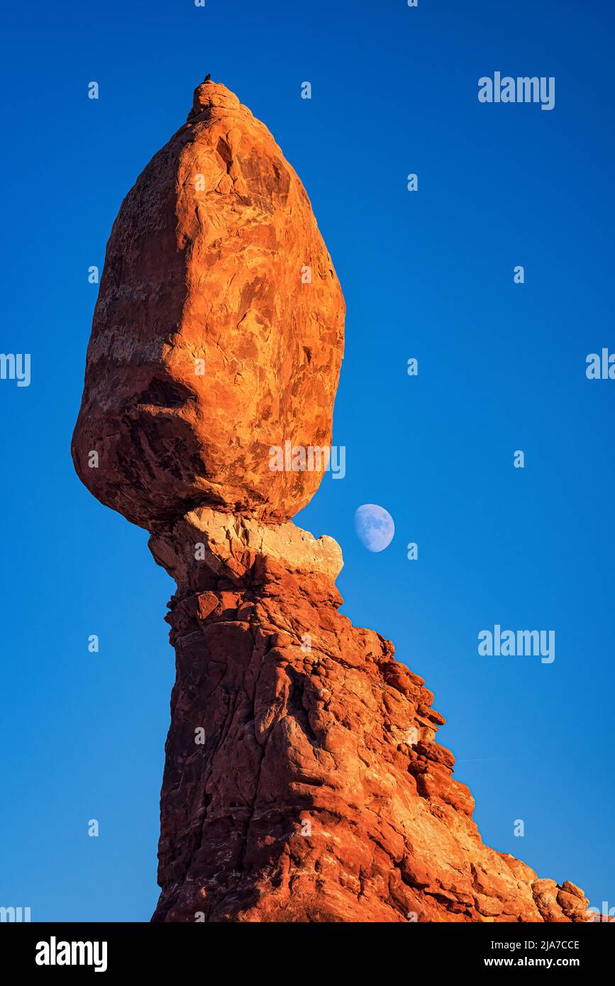 Balanced Rock and rising moon in Arches National Park in Utah Stock ...