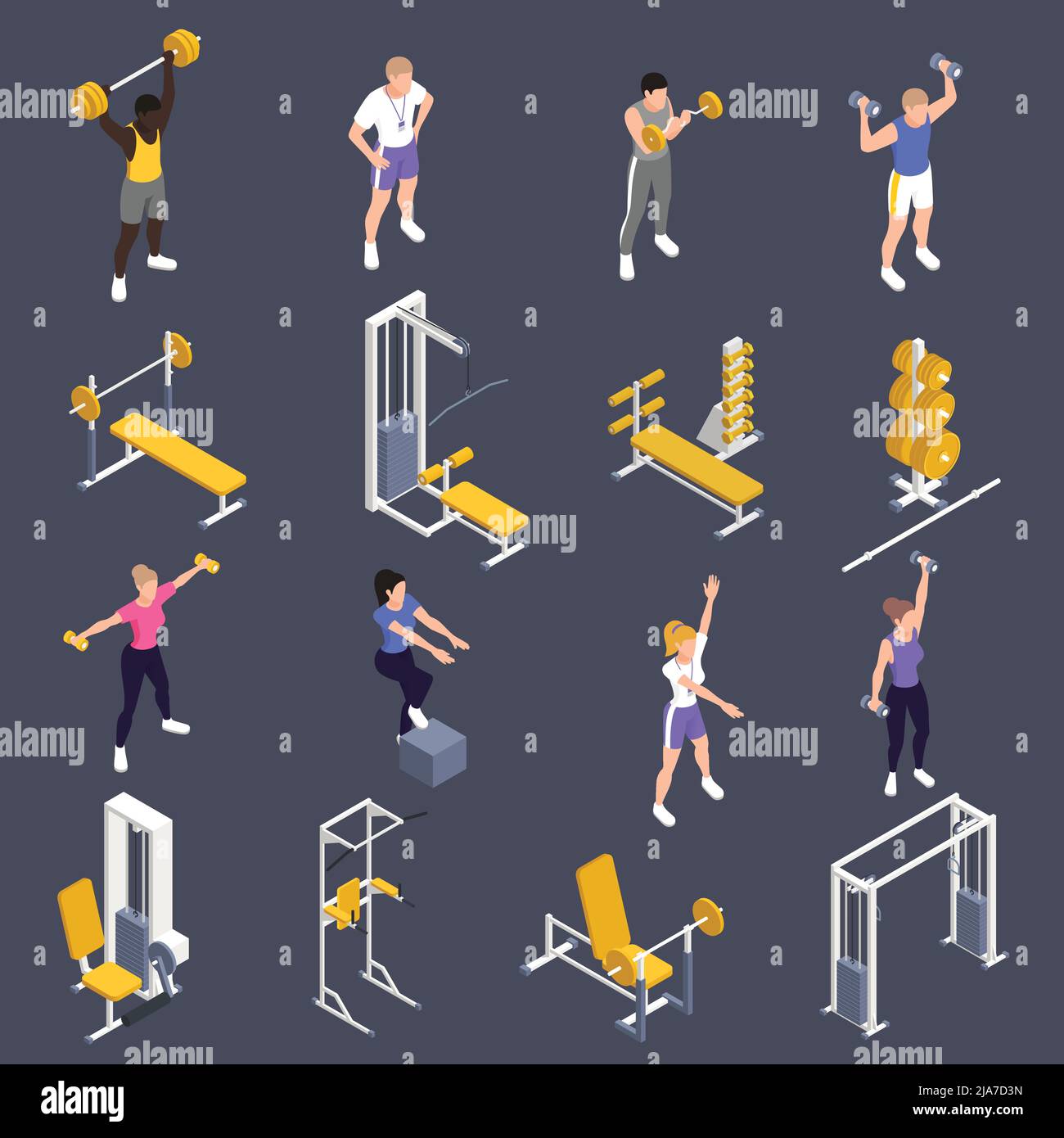 Gym workout fitness exercising people equipment isometric set with ...