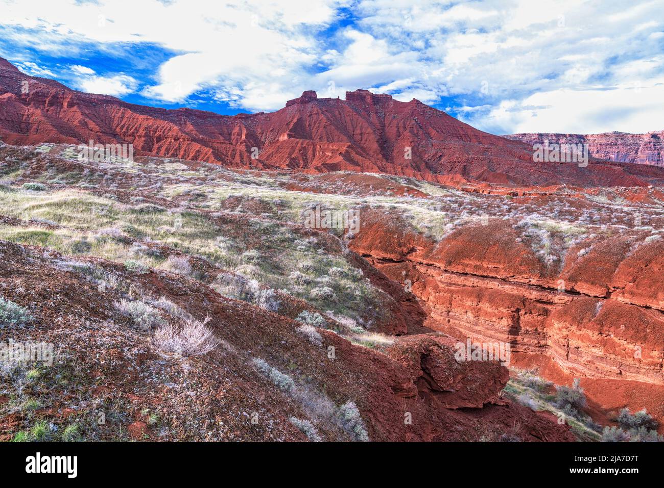 Colorful flora and geology on Castle Valley outside Moab, Utah Stock ...