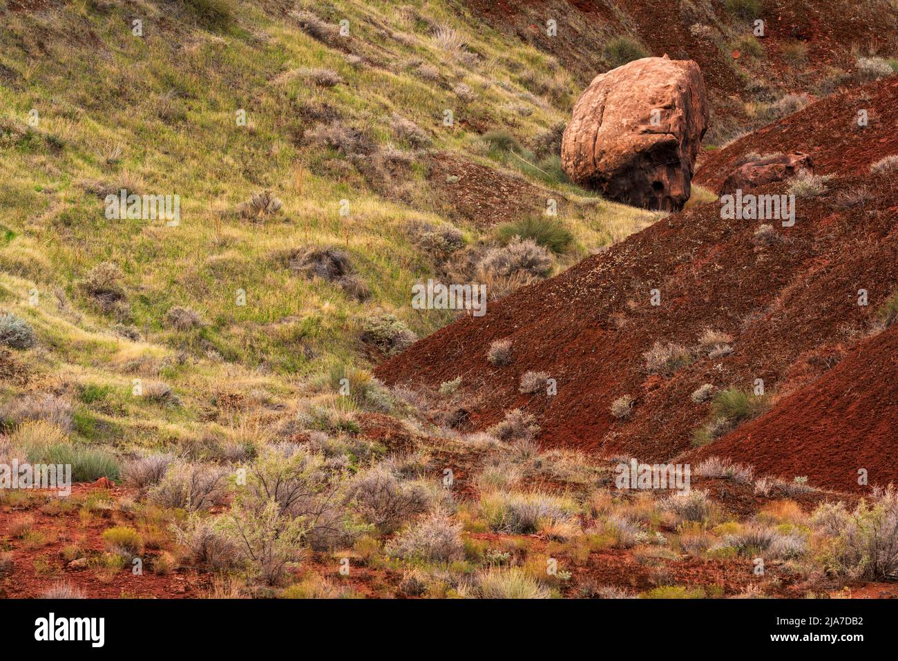 Colorful flora and geology on Castle Valley outside Moab, Utah Stock ...
