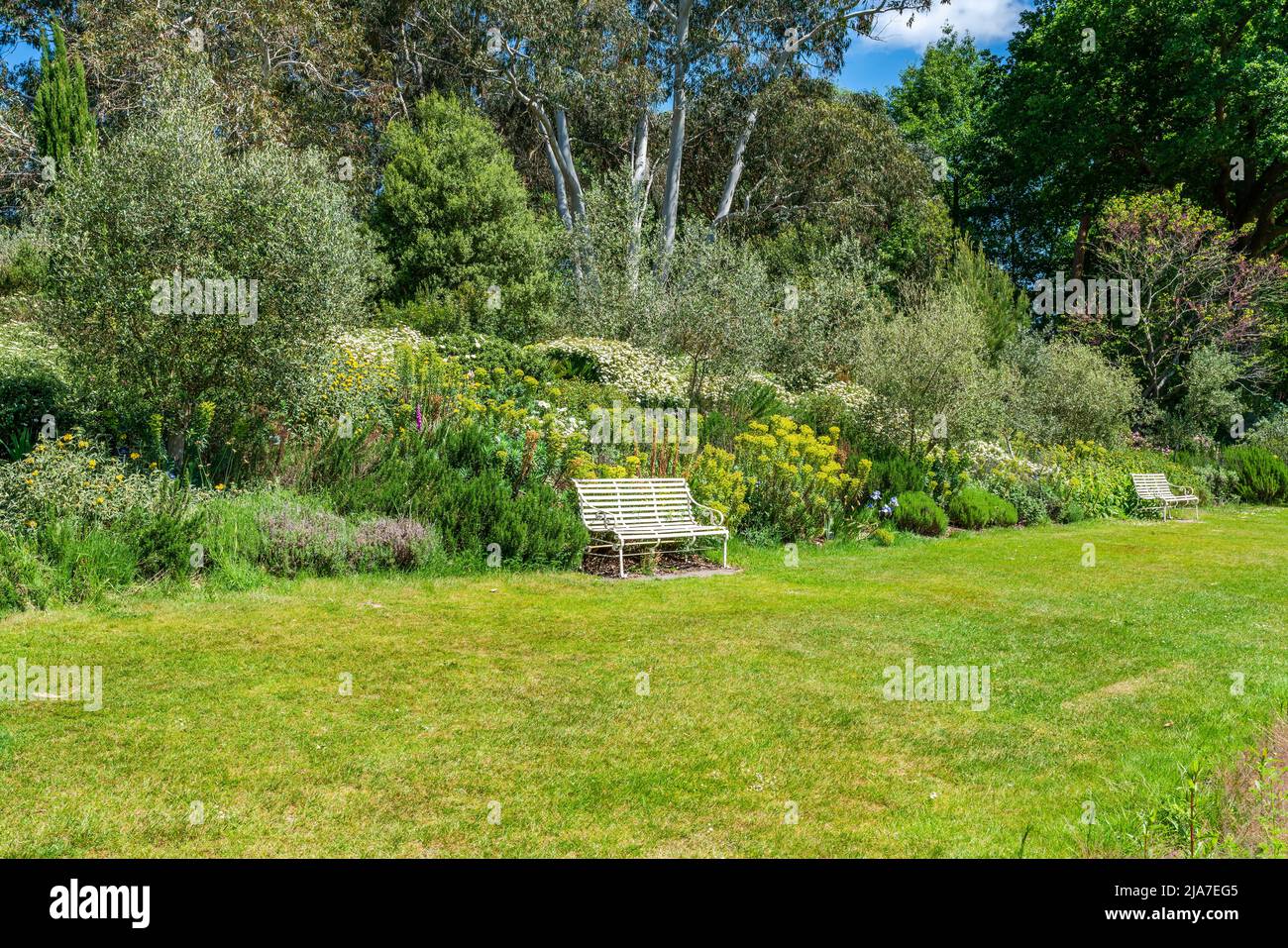 English garden in early summer, Surrey, UK Stock Photo - Alamy