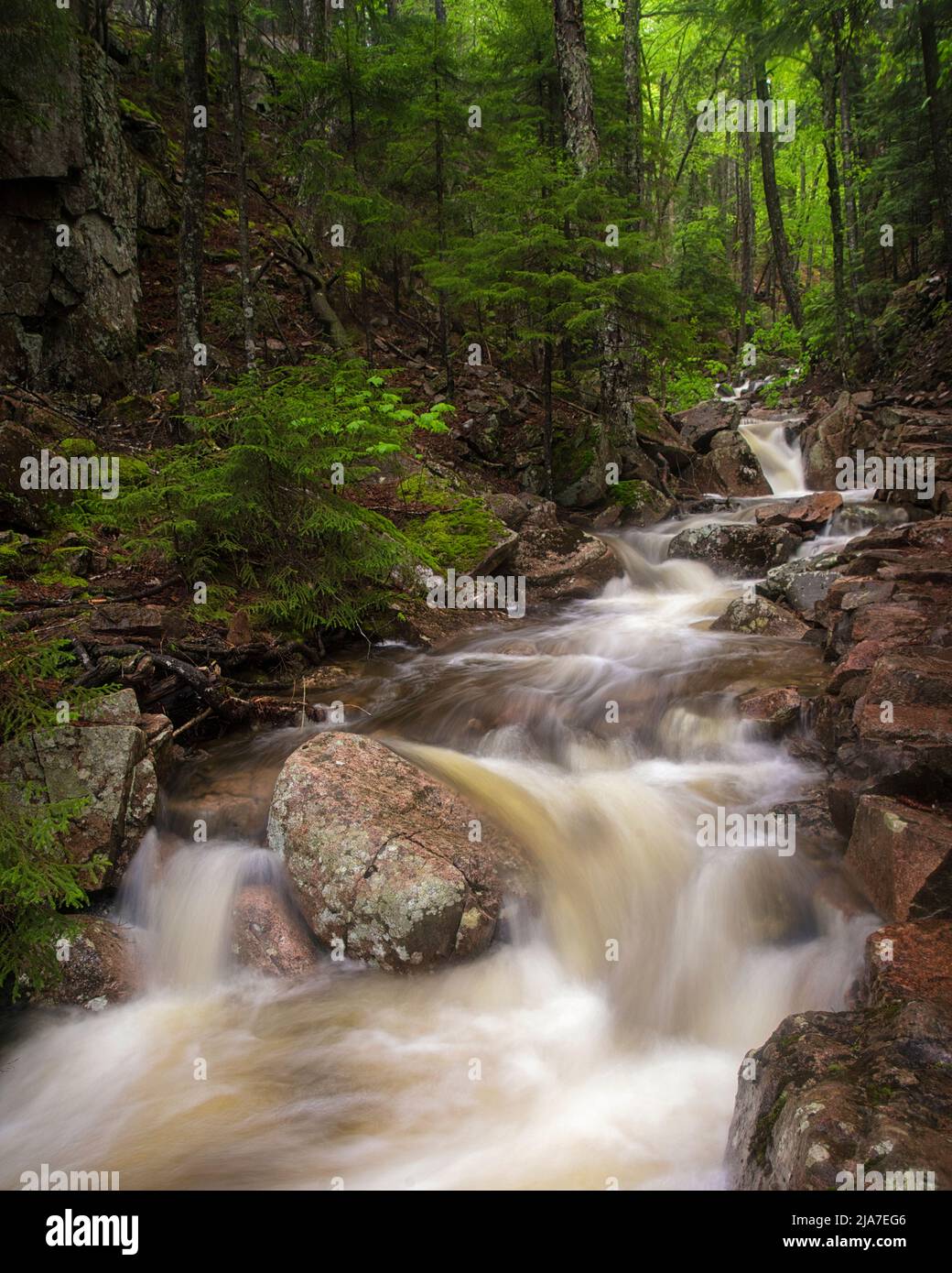 Hadlock Brook in Acadia National Park in Maine Stock Photo - Alamy
