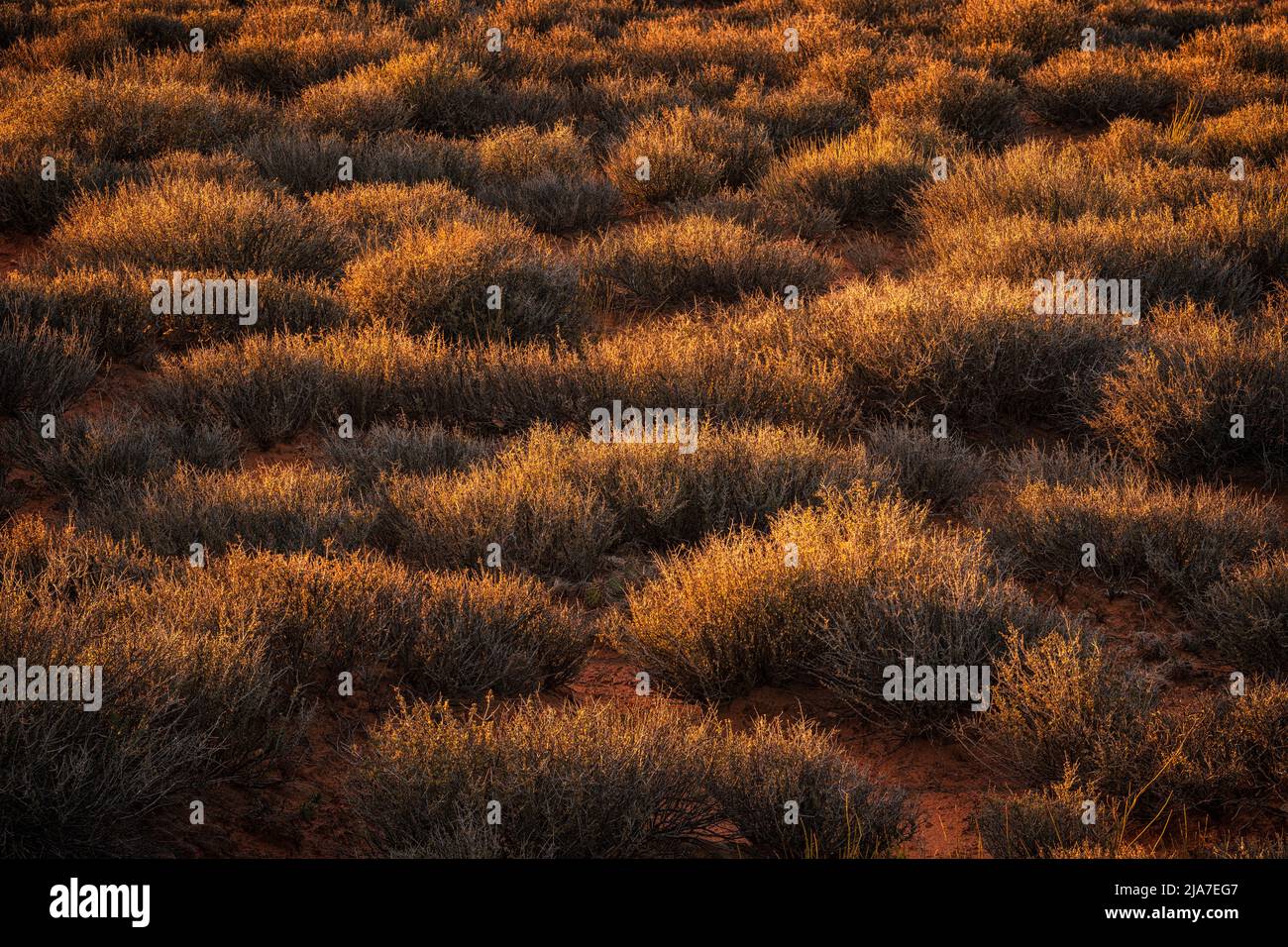 Moab desert hi-res stock photography and images - Alamy
