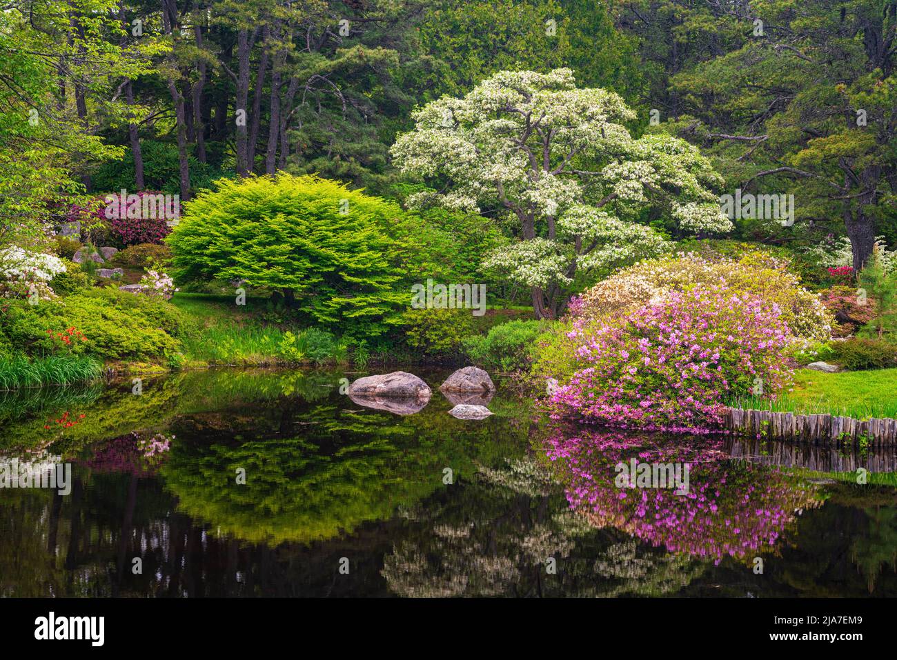 Colorful maine spring hi-res stock photography and images - Alamy