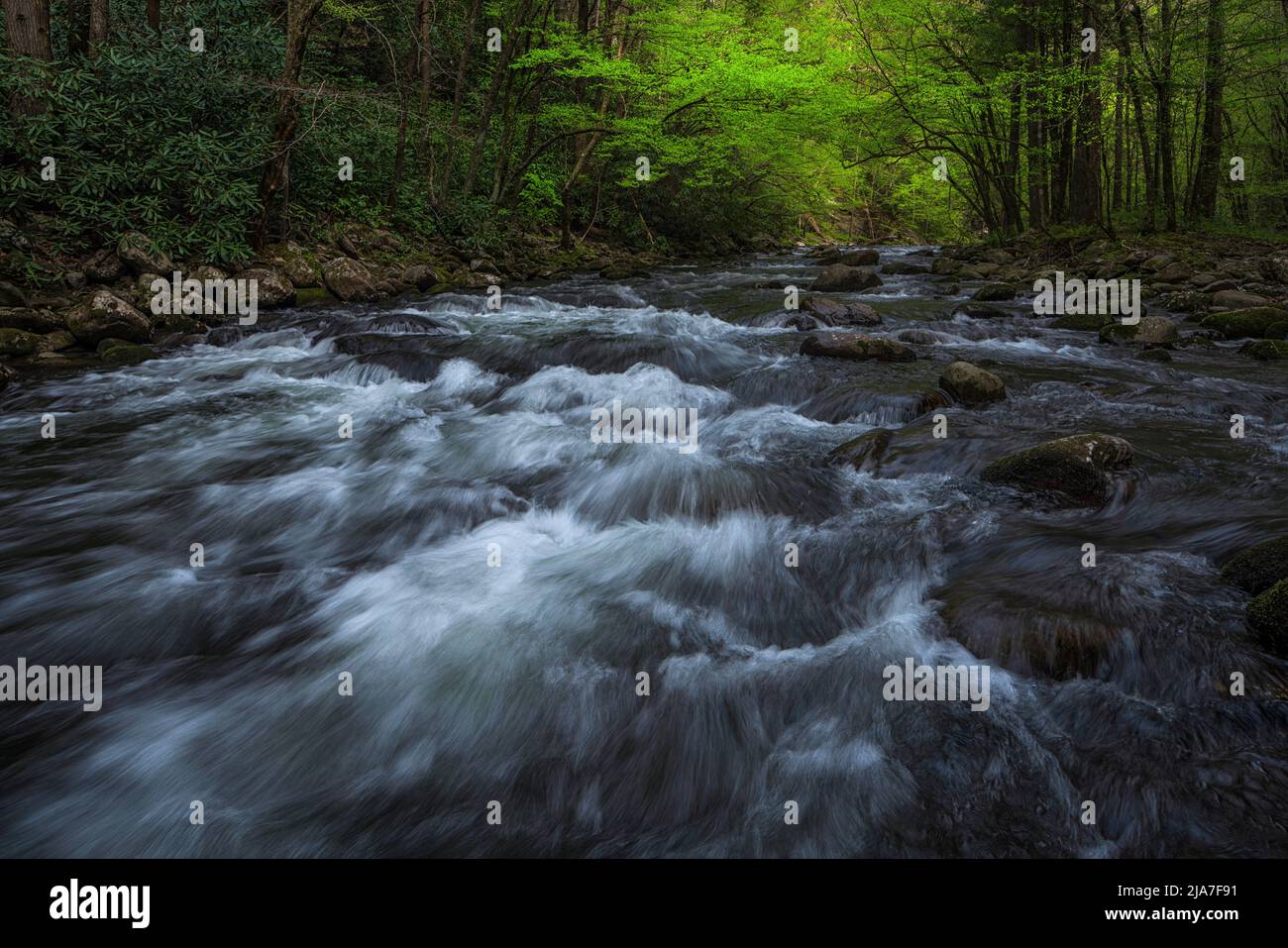 Springtime in the Tremont Section of Great Smoky Mountains National ...