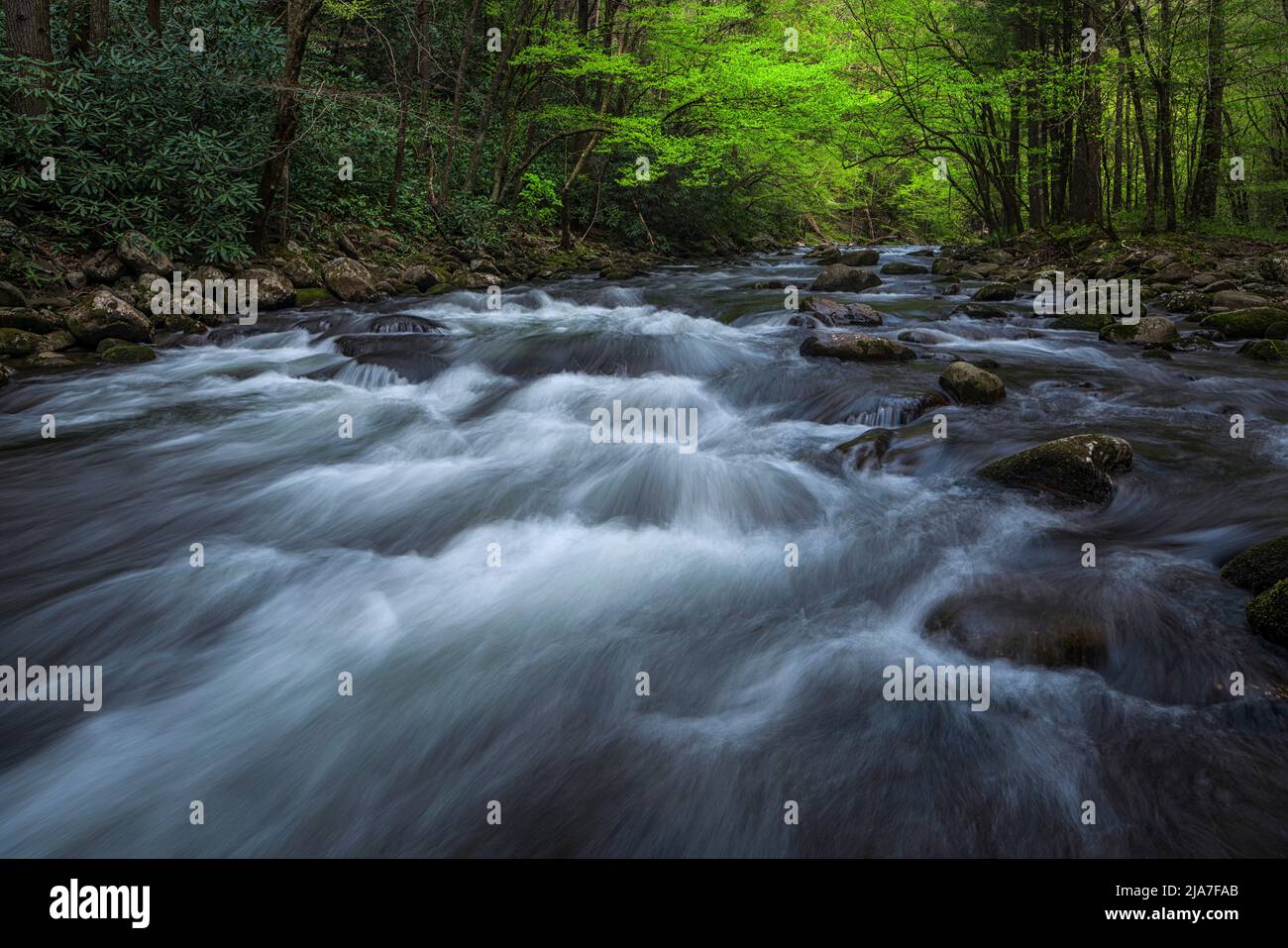 Springtime in the Tremont Section of Great Smoky Mountains National ...