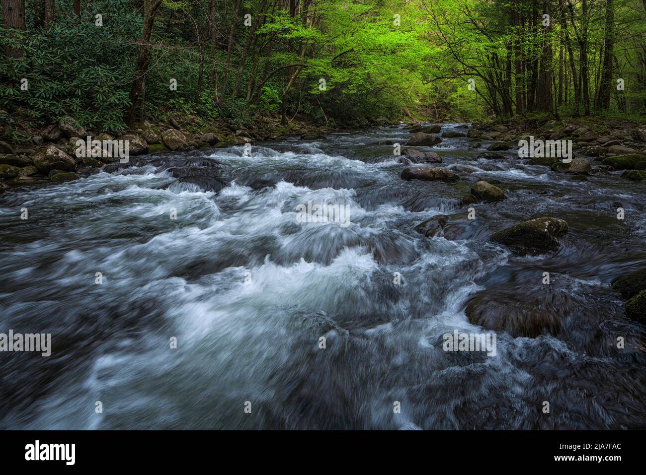 Springtime in the Tremont Section of Great Smoky Mountains National ...