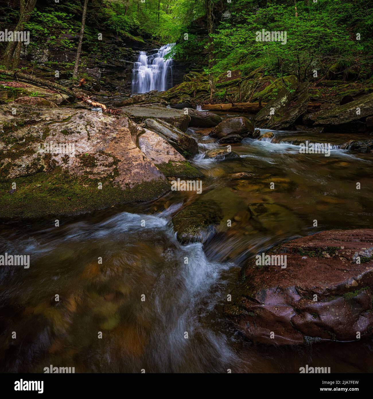 Sullivan Falls in ear Ricketts Glenn State Park in Pennsylvania Stock ...