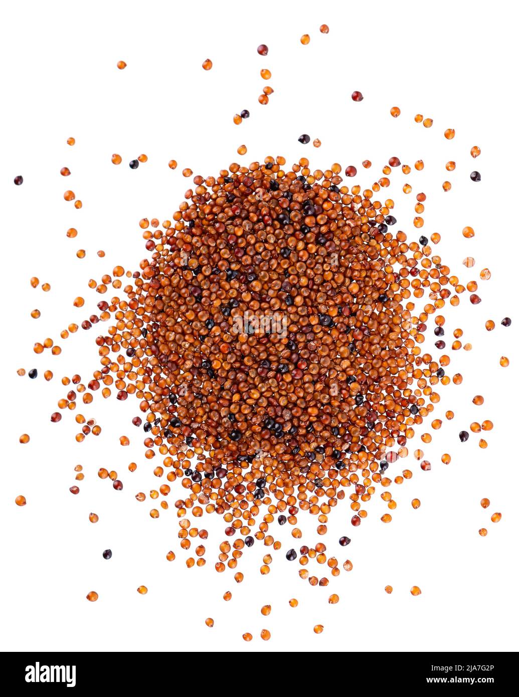 Canihua grains isolated on white background. Pile of qaniwa, qanawa ...