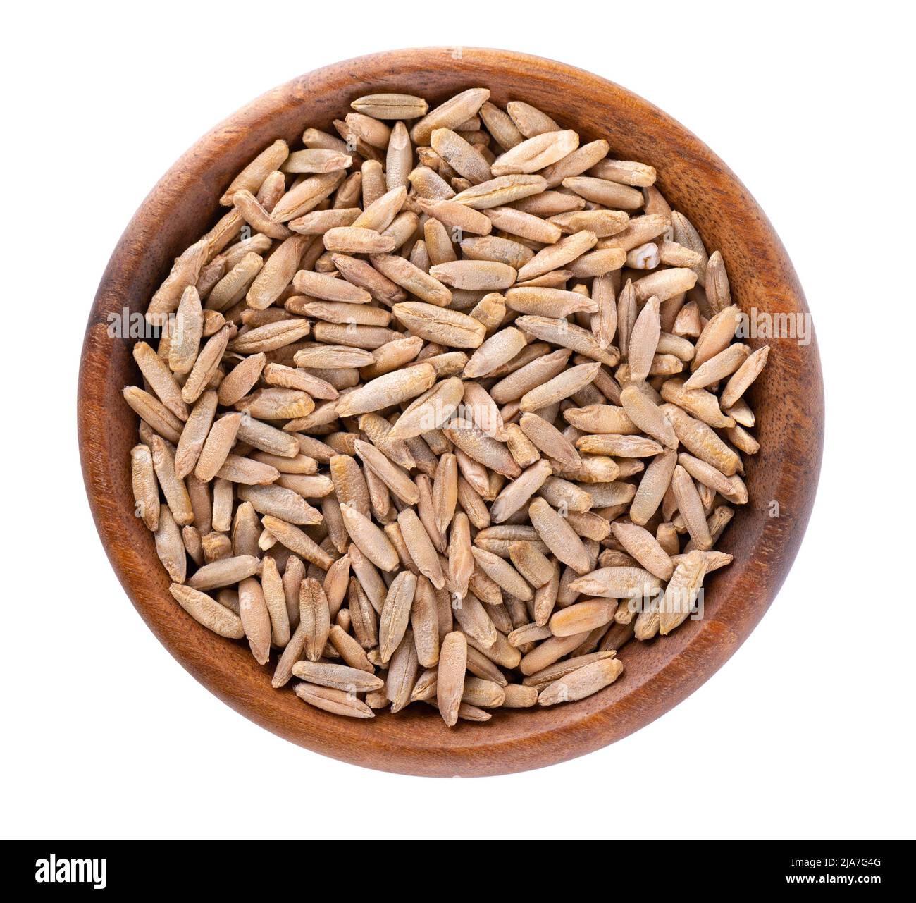 Rye grains isolated on white background. Pile of rye malt seeds in ...