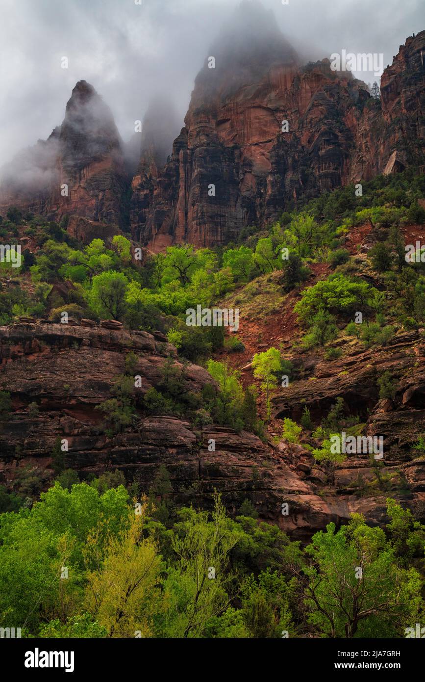 Mist shrouded cliffs hi-res stock photography and images - Alamy