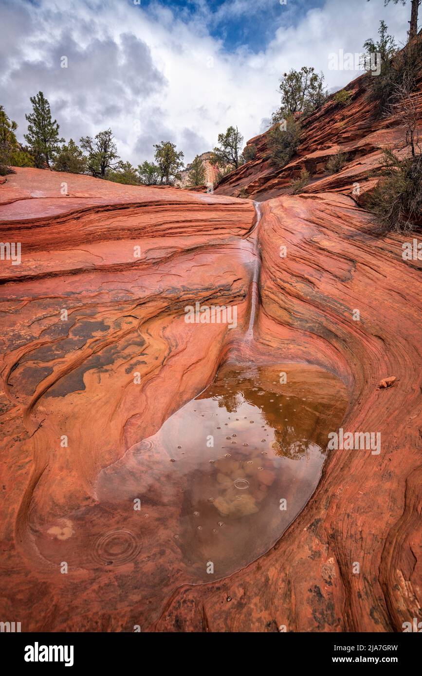 Water carved rocks of the Many Pools area of Zion National Park in Utah ...