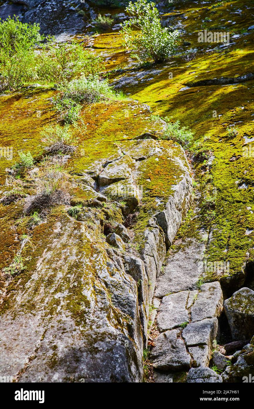 Detail of cliff walls covered in moss Stock Photo - Alamy
