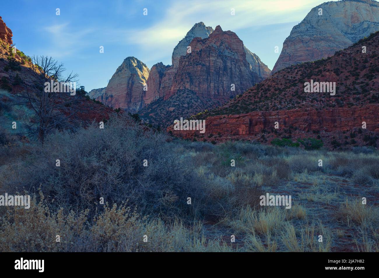Light in zion hi-res stock photography and images - Alamy