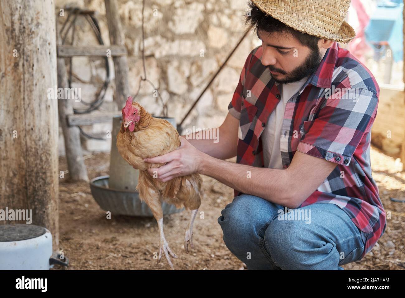 Man with hen hi-res stock photography and images - Alamy