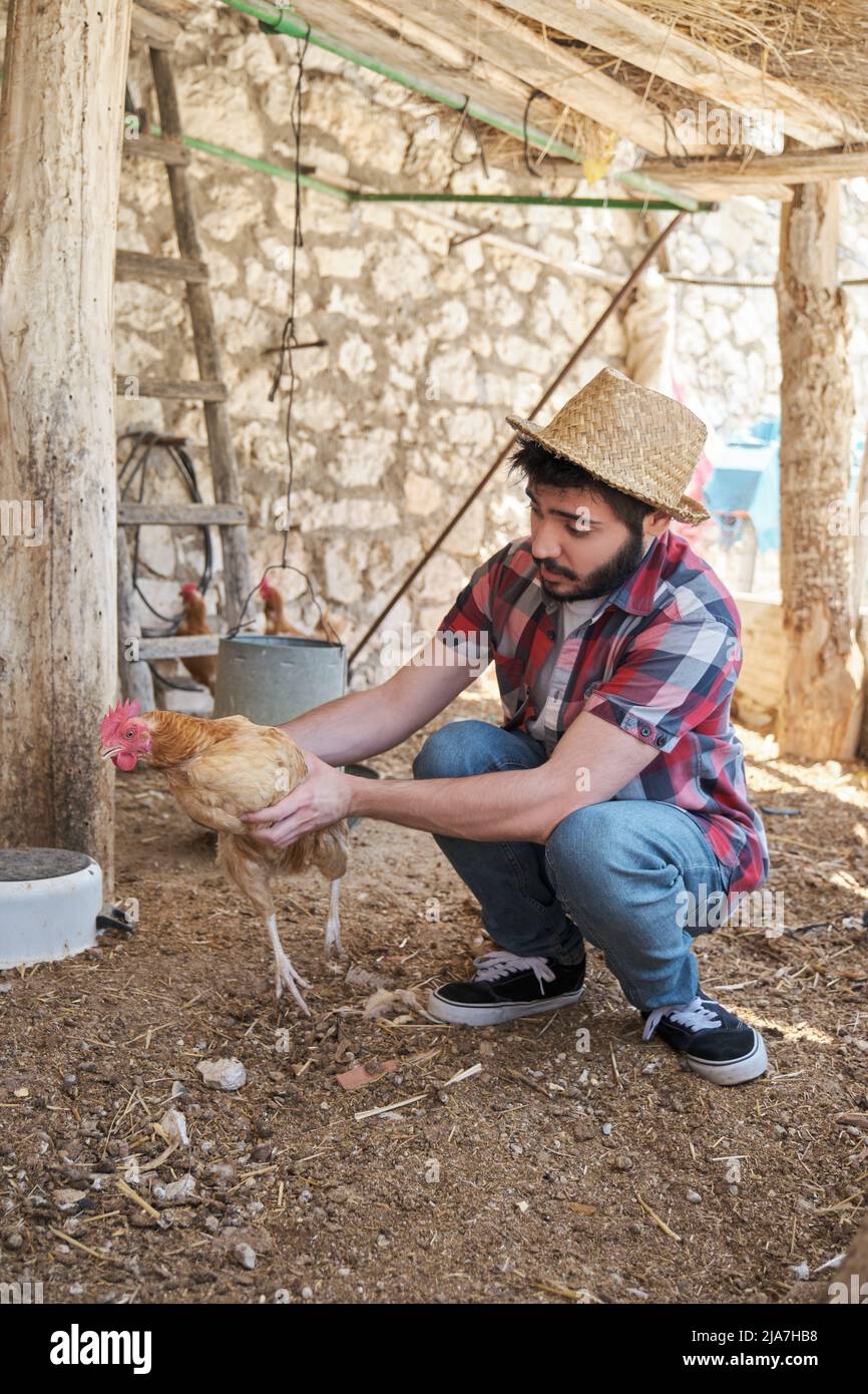 Man holding chick hi-res stock photography and images - Alamy