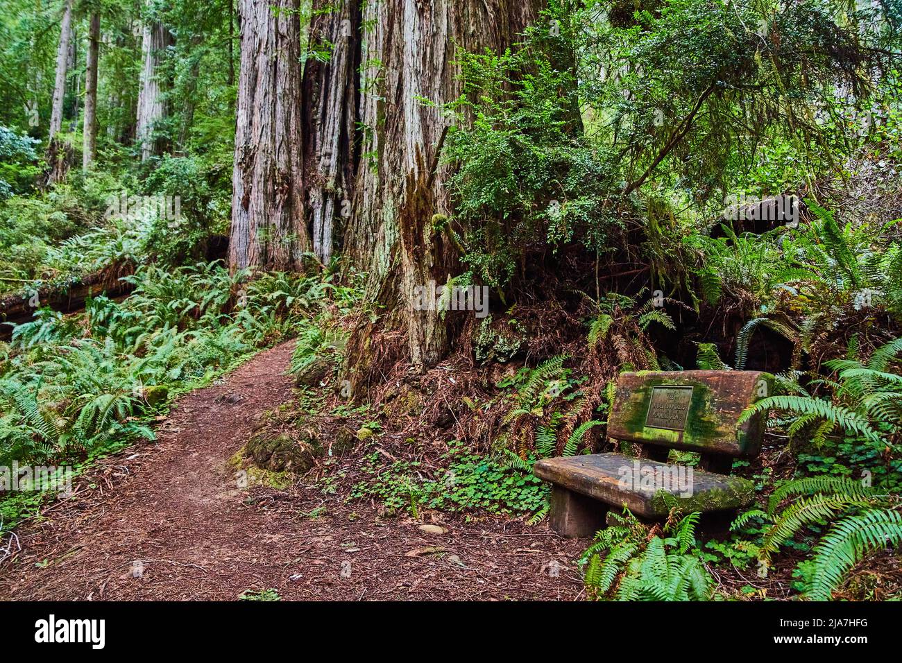 Take a break landscape hi-res stock photography and images - Alamy