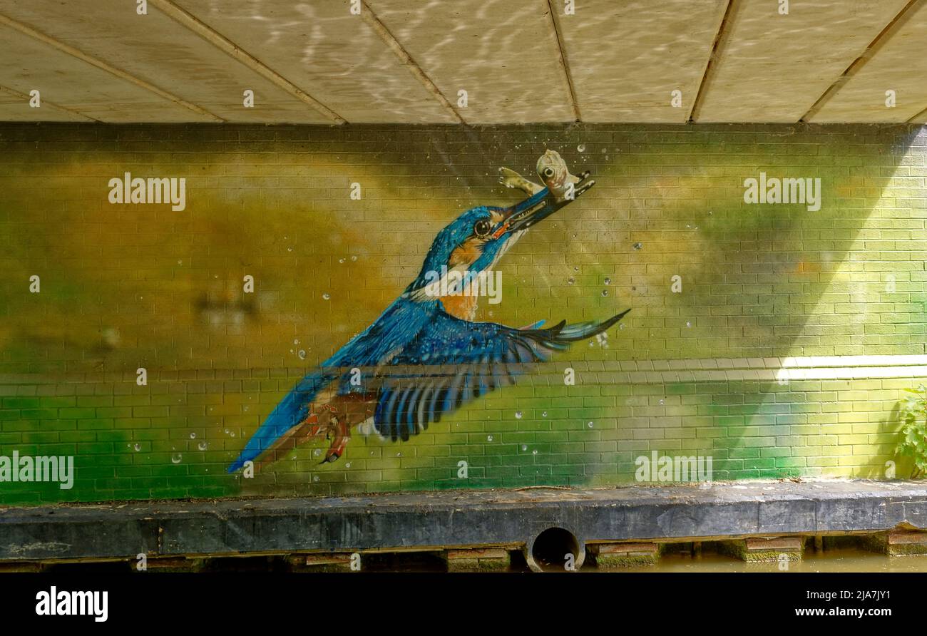 OXFORD CITY ENGLAND OXFORD CANAL PAINTING OF A KINGFISHER UNDER THE ...