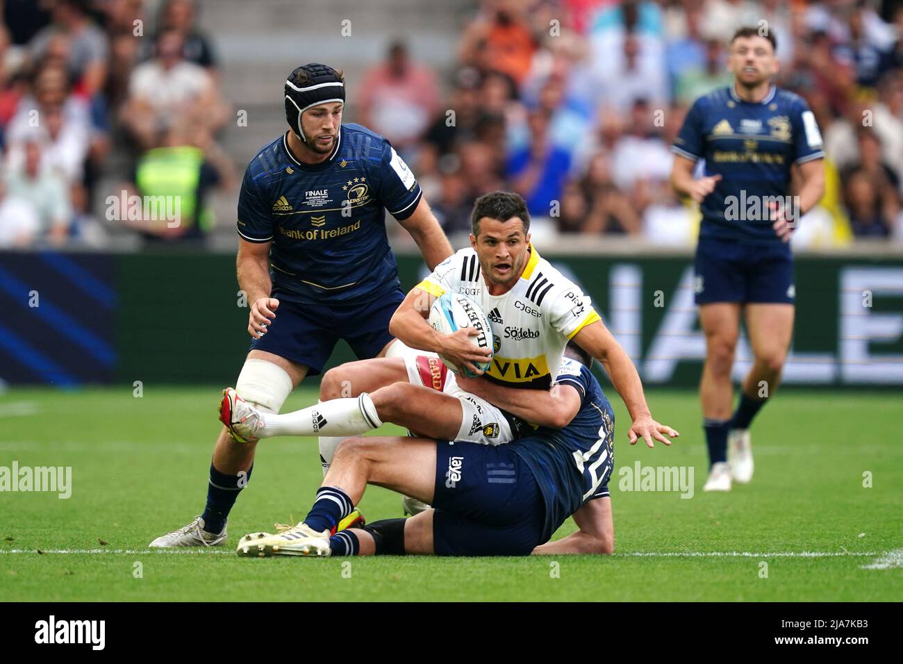 Leinster champions cup o'brien hi-res stock photography and images - Alamy