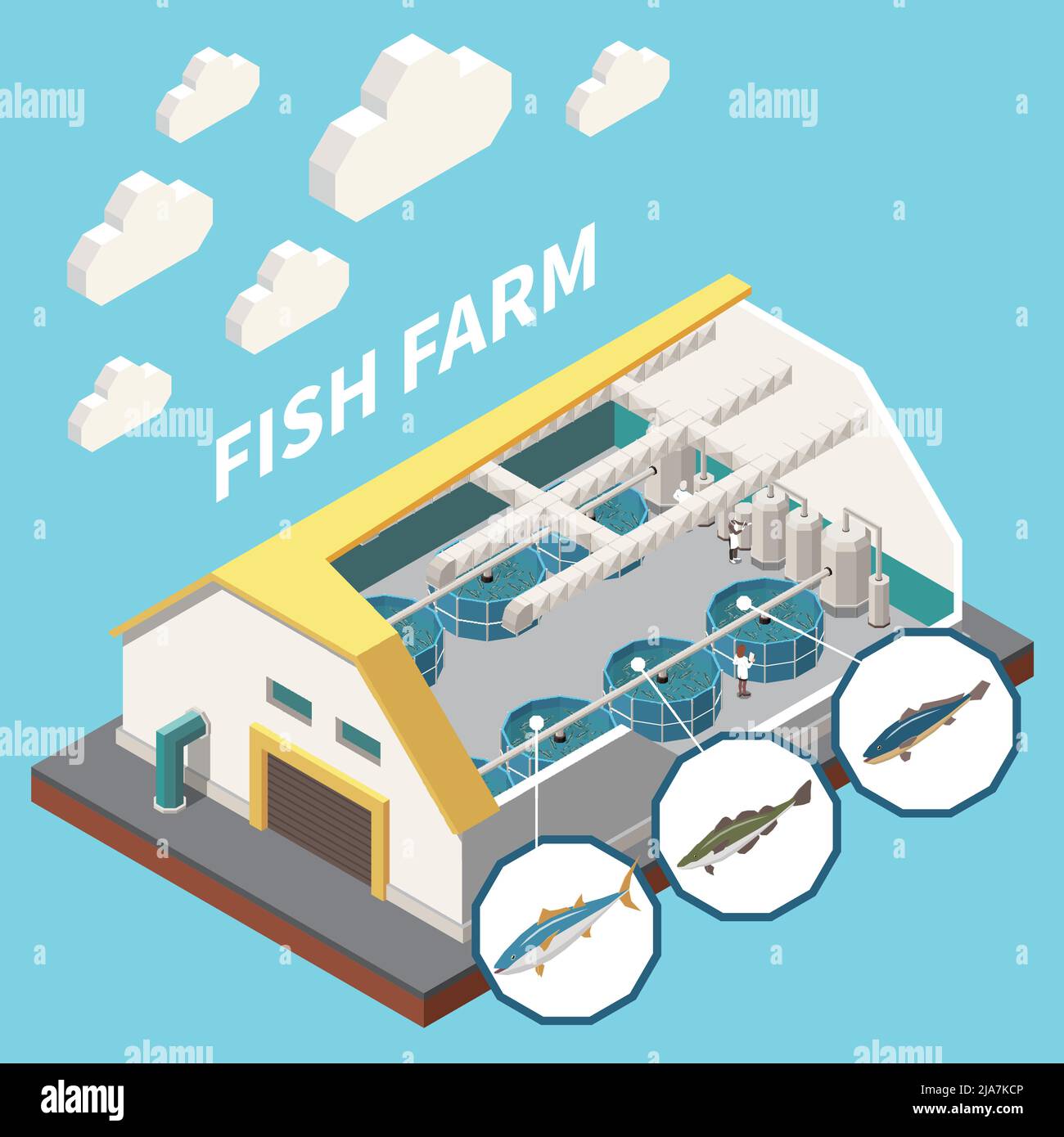 Industrial seafood fish farm indoor aquaculture facility isometric ...