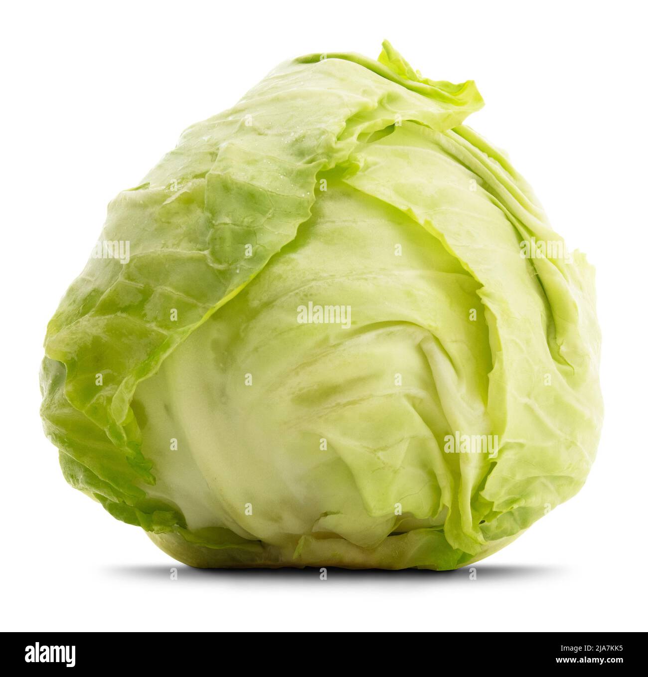 Cabbage circle Cut Out Stock Images & Pictures - Alamy
