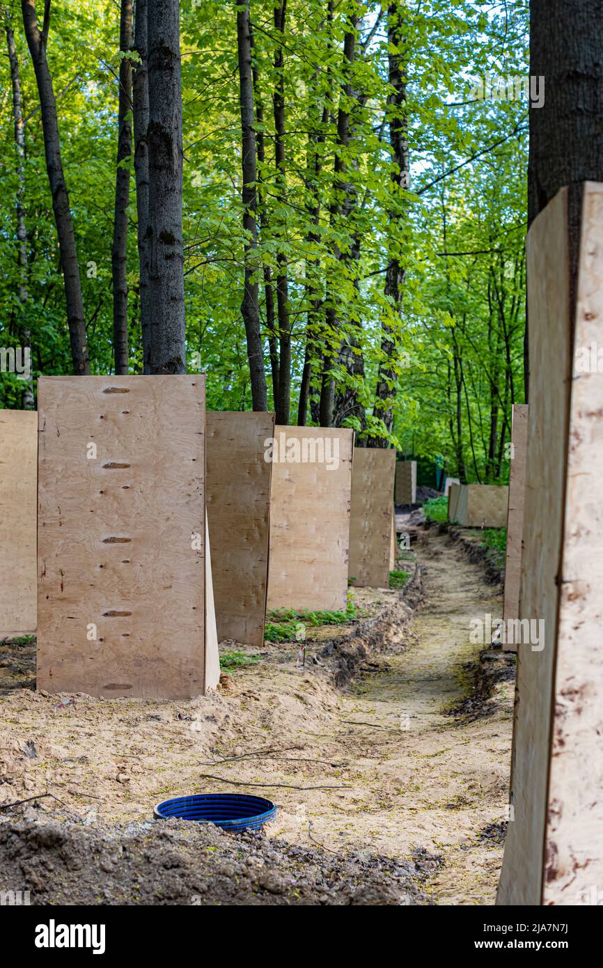 deciduous tree whose trunk is protected by a sheet of plywood. High ...