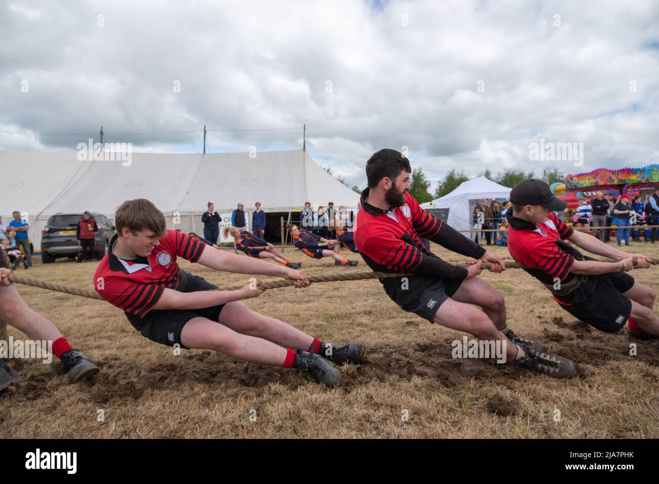 Tug of war scotland vintage hi-res stock photography and images - Alamy