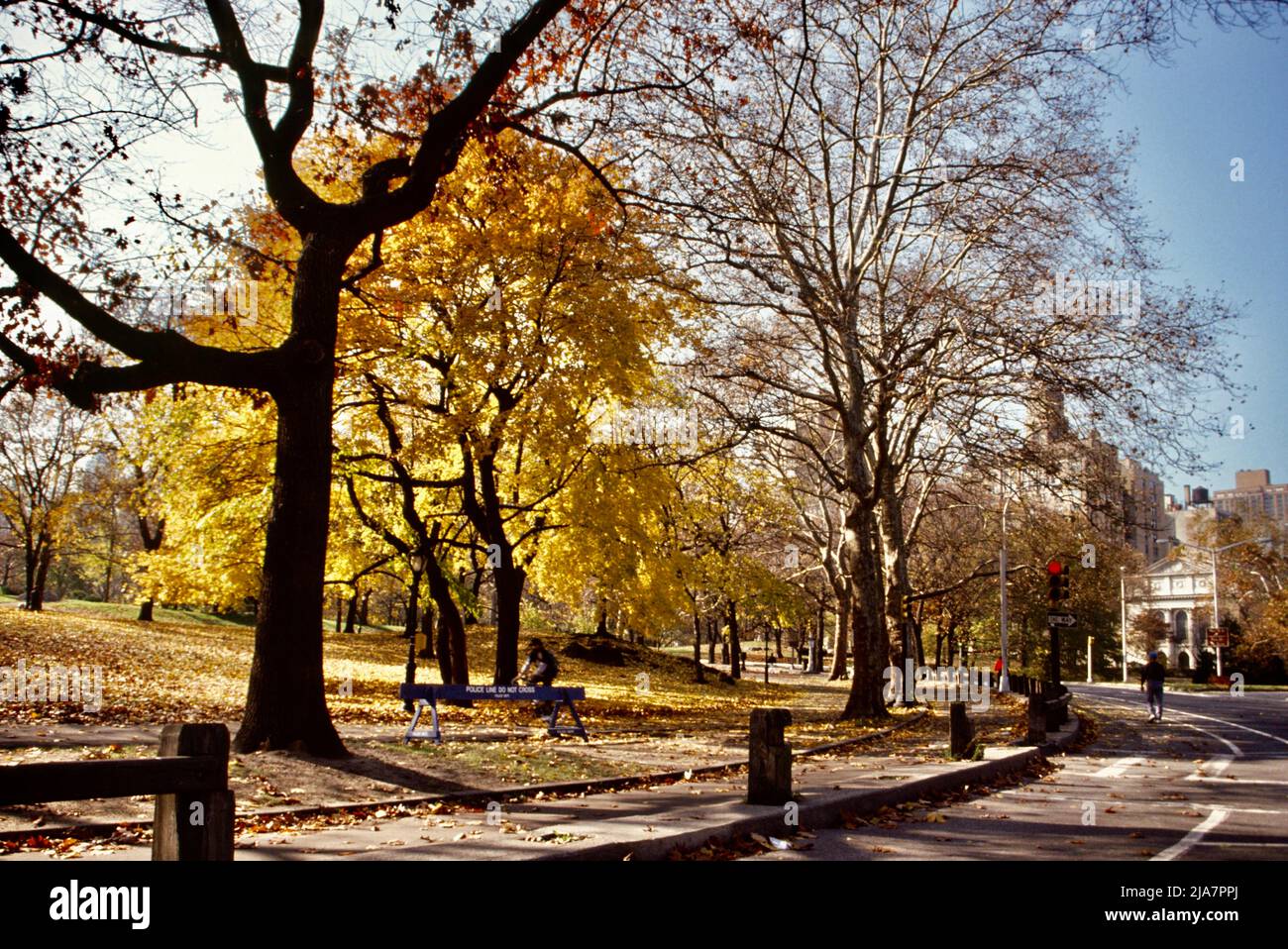 Central Park during the autumn, New York City 1990s Stock Photo - Alamy