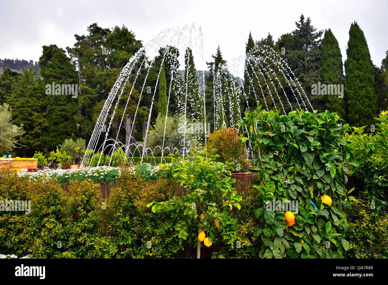 euroflora nervi parks, flower garden genoa italy Stock Photo - Alamy