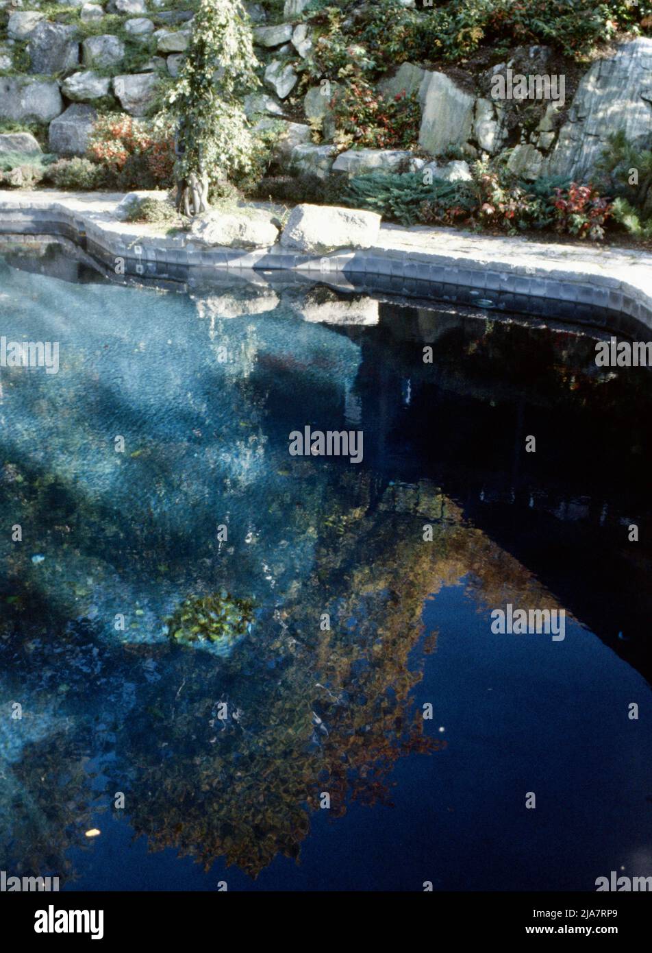 1980s swimming pool hi-res stock photography and images - Alamy