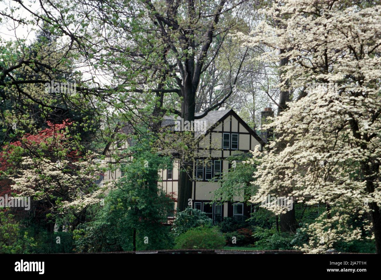 A private house in a blooming garden with tall trees in Westchester ...