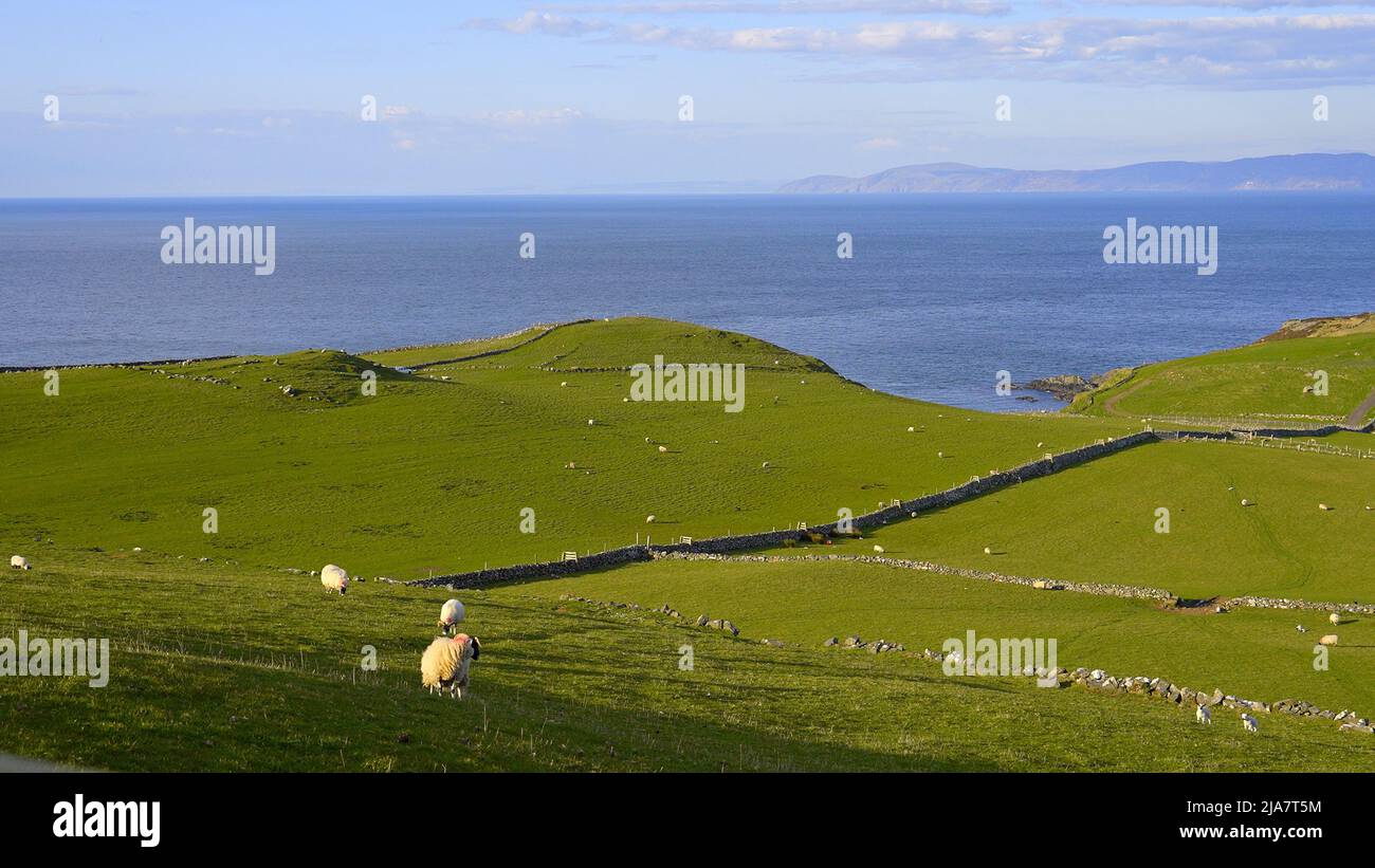 The beautiful Causeway Coast at Torre Head in Northern Ireland - travel ...