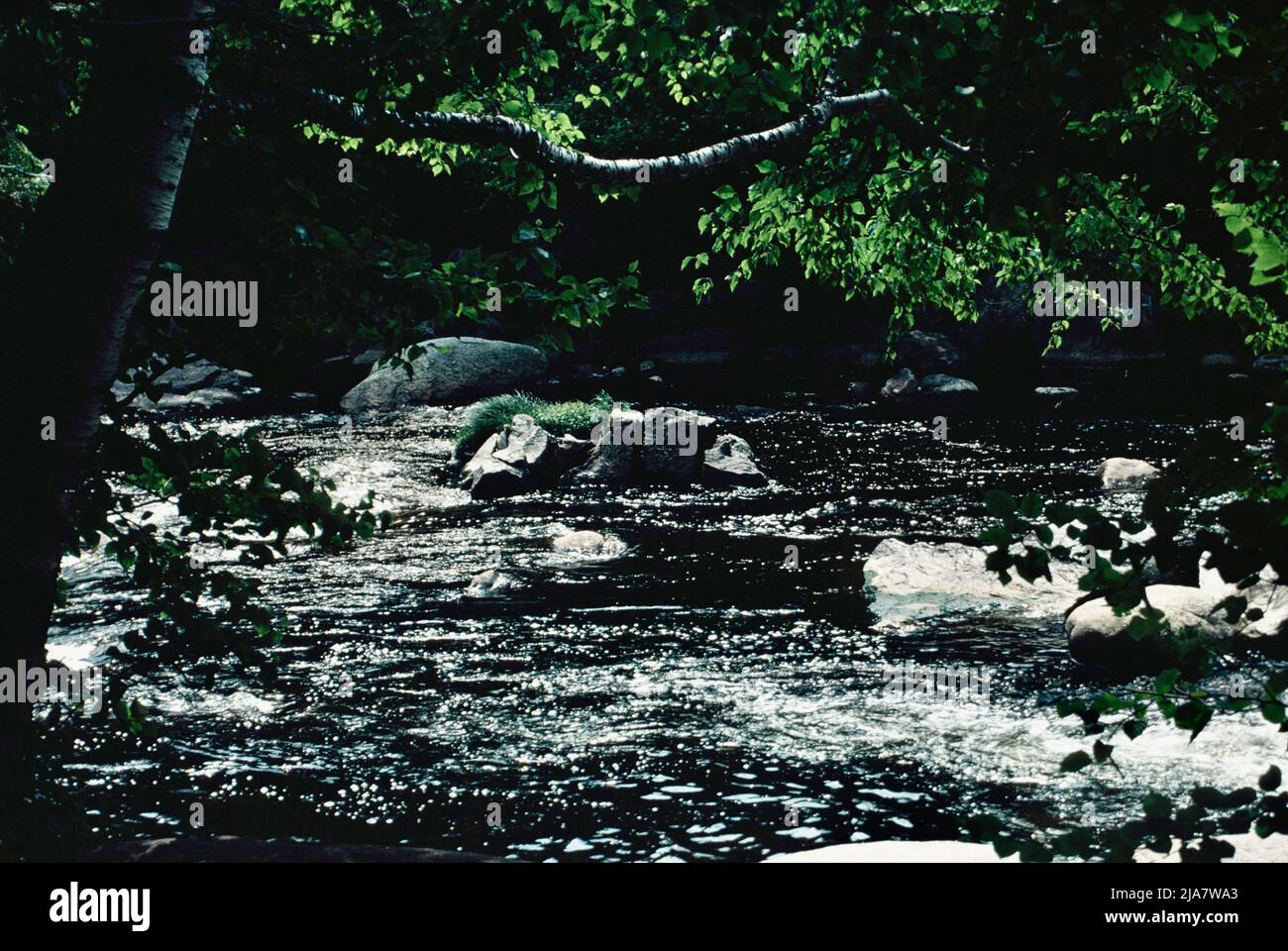 Small fast running river in Northern New York State, USA in 1979 Stock ...