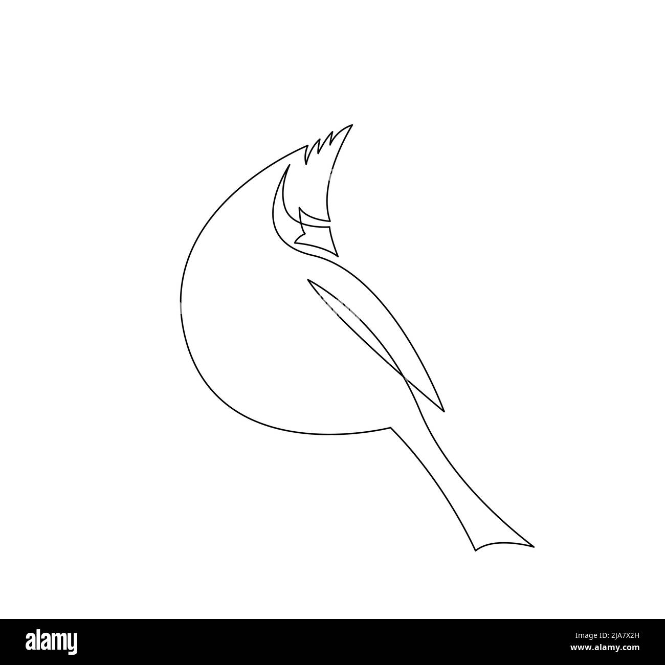 Cardinal Drawing Stock Vector Images - Alamy