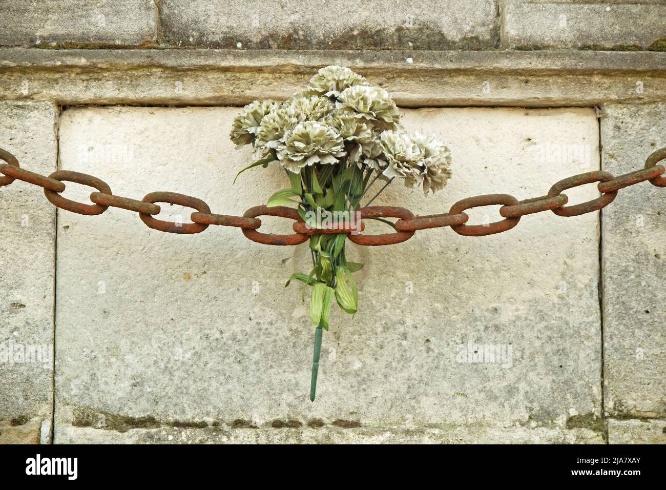 Bouquet of white carnations inserted in a chain on a tomb at the Pere ...