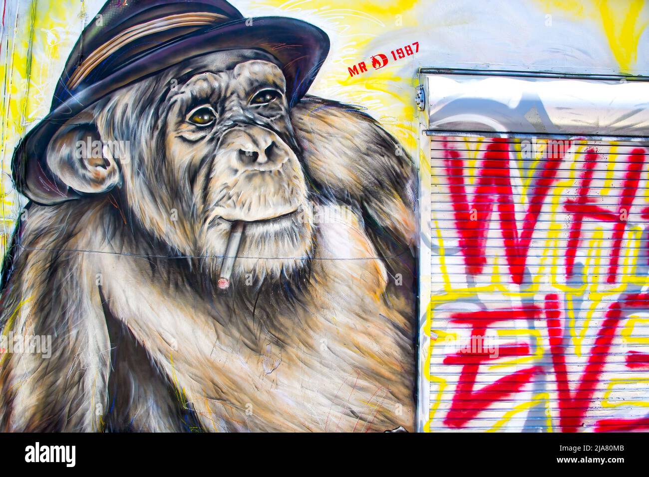 Monkey graffiti hi-res stock photography and images - Alamy