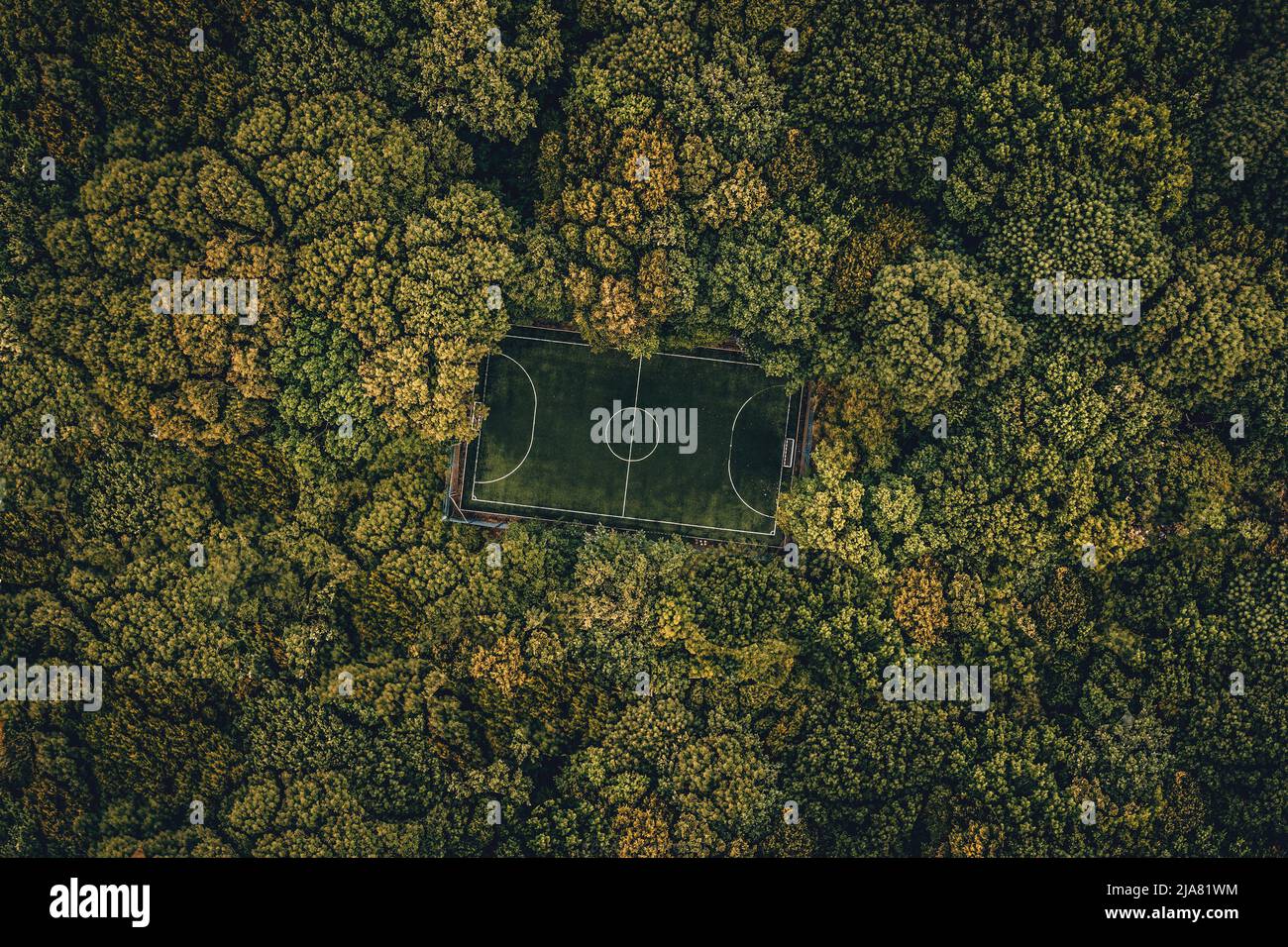 Top view of a soccer field in the forest, tall trees around the stadium ...