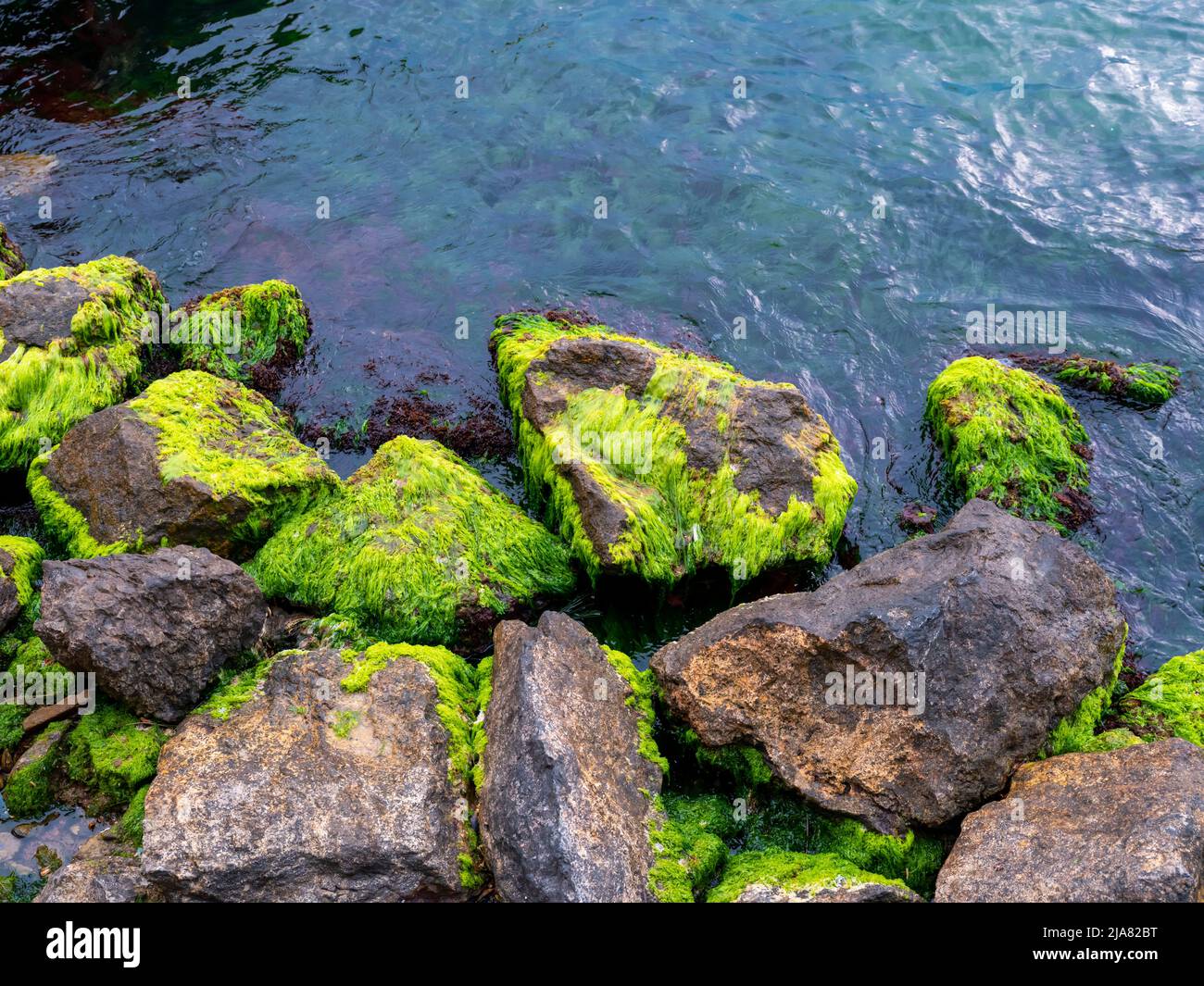 Mossy sea hi-res stock photography and images - Alamy