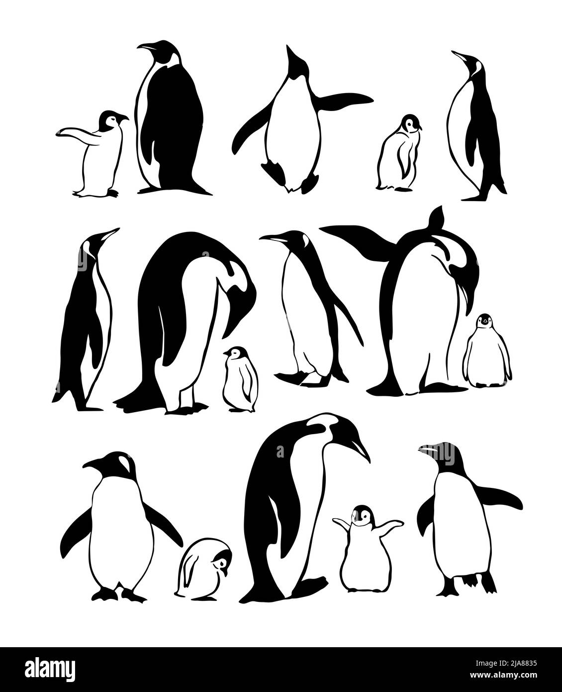 Set of penguins. Vector illustration Stock Vector Image & Art - Alamy
